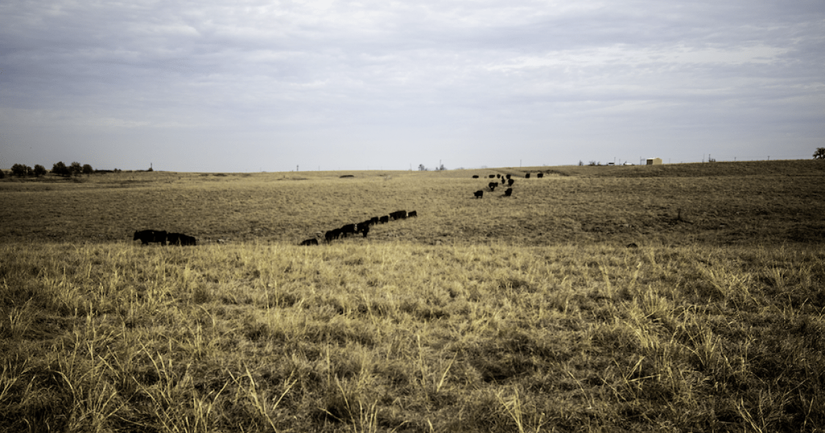 Osage Nation Ranch Selected as Conservationist of 2022: "Protecting the ...